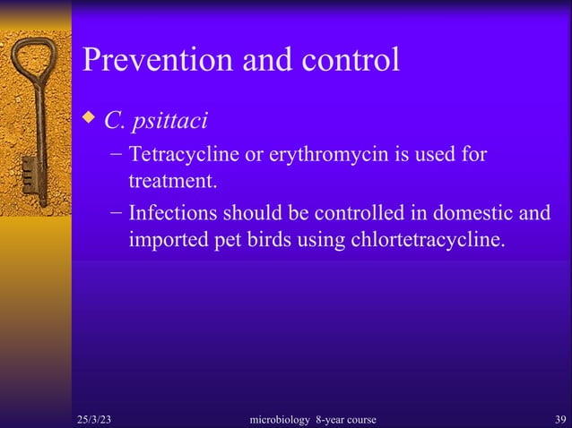 Chlamydia.ppt infection in adults and children | PPT