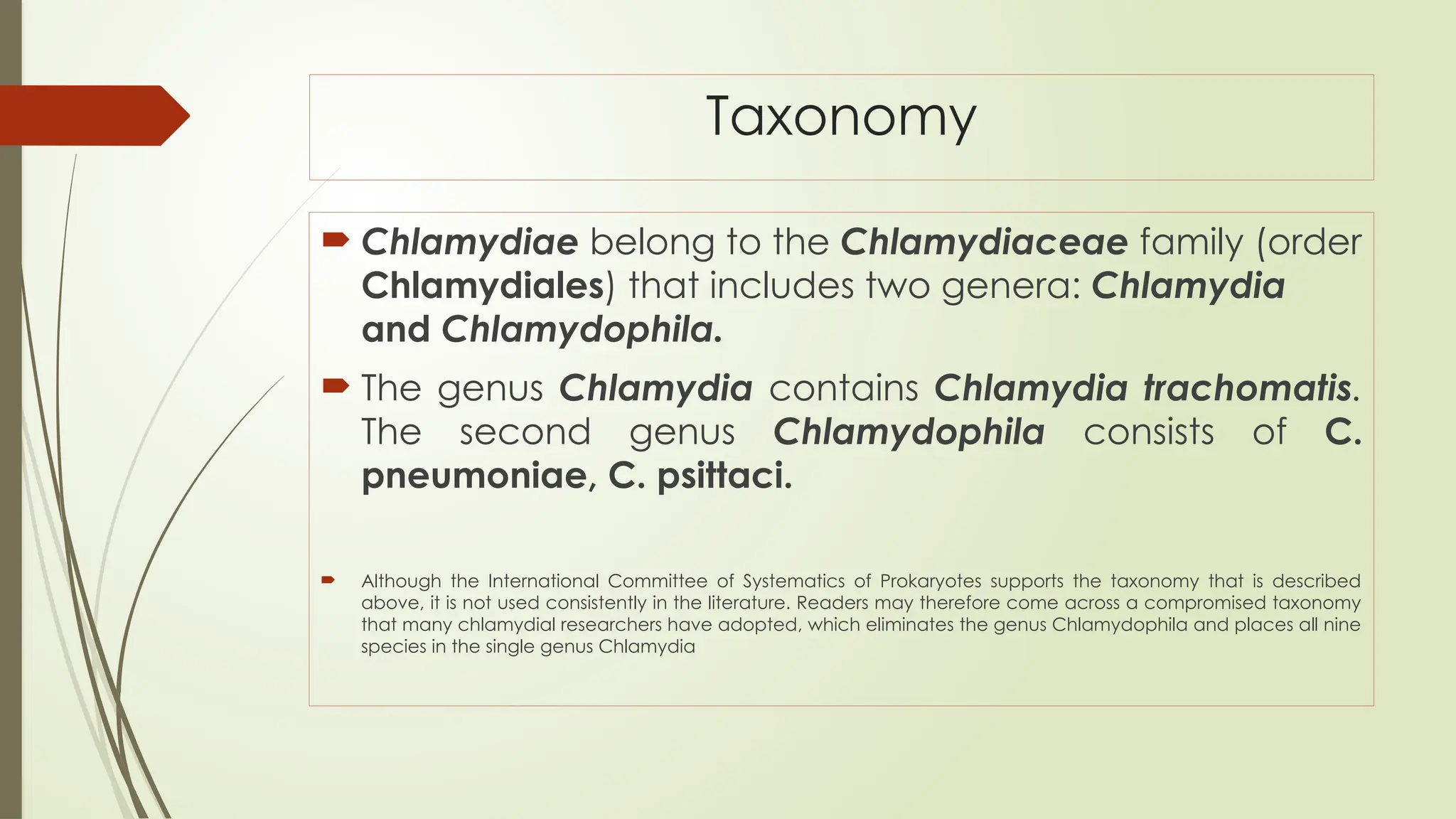 Chlamydia microbiology mbbs fungi .pptx