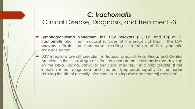Chlamydia Microbiology Mbbs Fungi Pptx