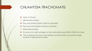Chlamydia (Medical microbiology lecture) | PPTX