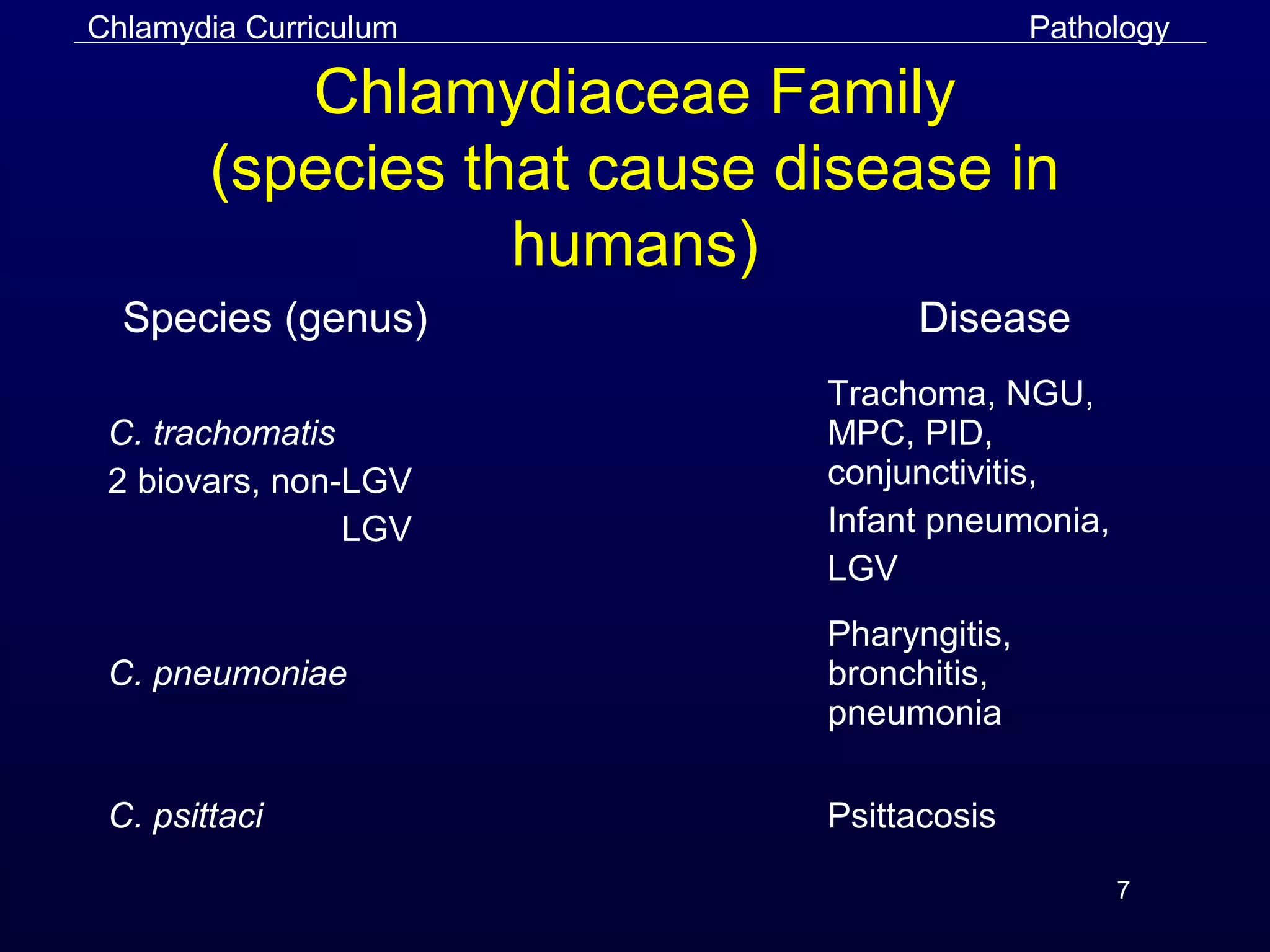 Chlamydia | PPT