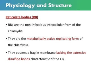 chlamydia-the-silent-killer - Dildar Khan.pptx