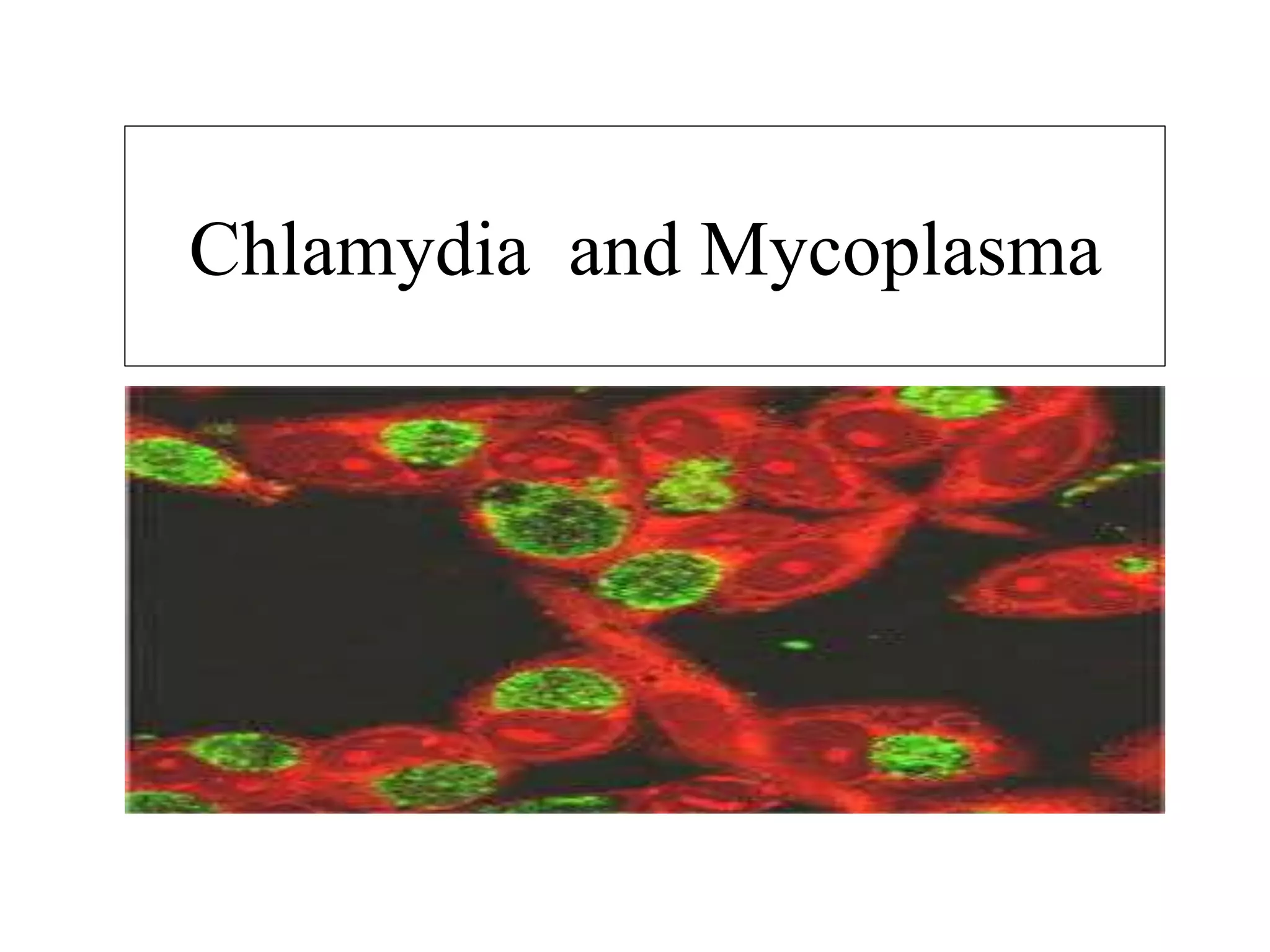 Chlamydia and mycoplasma | PPTX