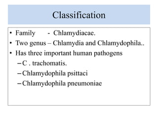Chlamydia and mycoplasma | PPT