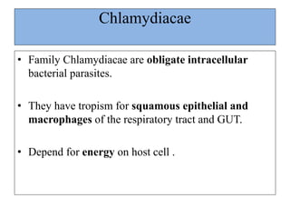 Chlamydia and mycoplasma | PPTX