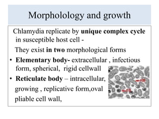 Chlamydia and mycoplasma | PPTX