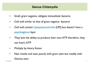 Chlamydia and Reckettsia (1).ppt bacteriology | PPT