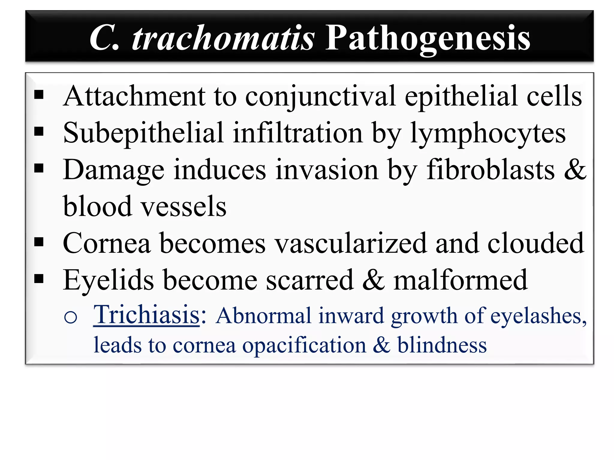 Chlamydiae | PPT