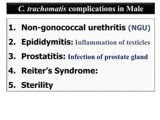 Chlamydiae | PPT