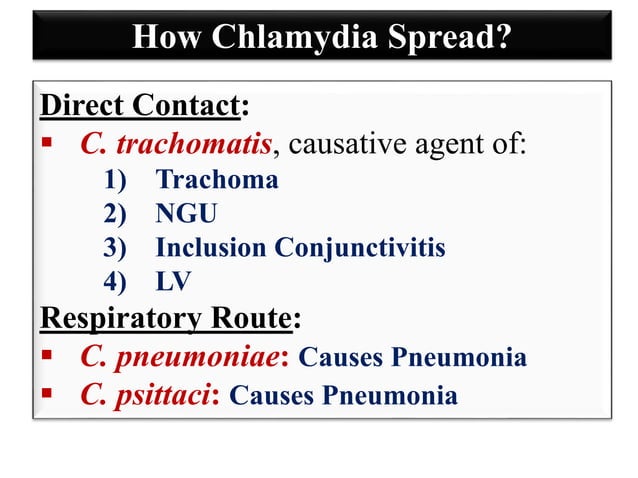 Chlamydiae Ppt Sexual Conditions Sexual Health