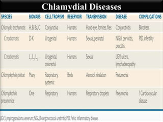 Chlamydiae | PPT