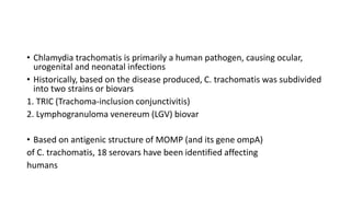 Chlamydiae.pptx