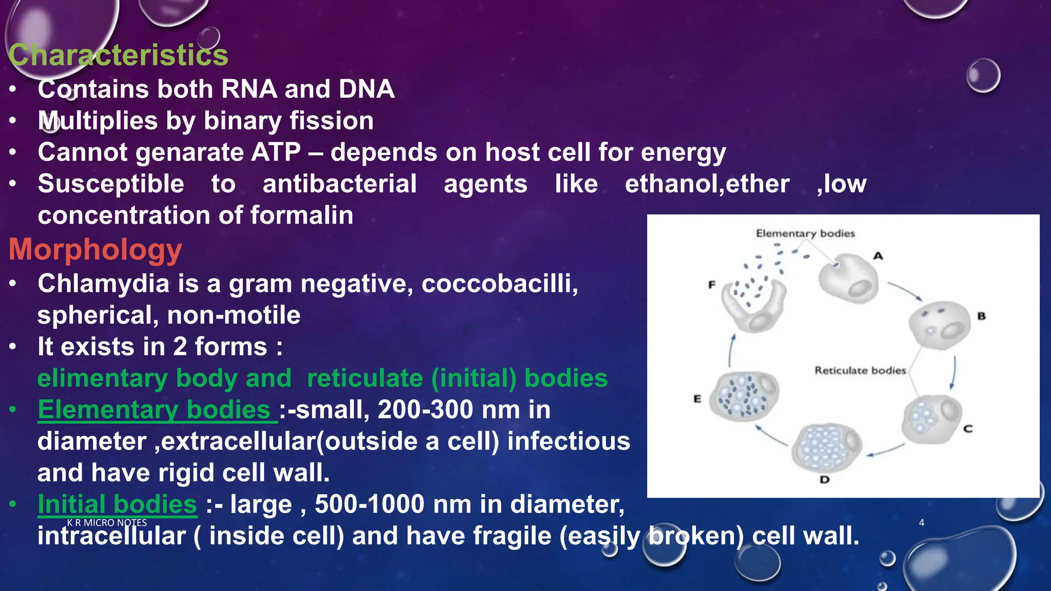 Chlamydiae The silent killer K R.pptx