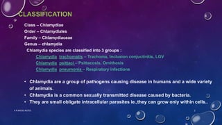 Chlamydiae The silent killer K R.pptx