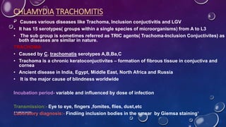 Chlamydiae The silent killer K R.pptx