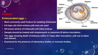 Chlamydiae The silent killer K R.pptx