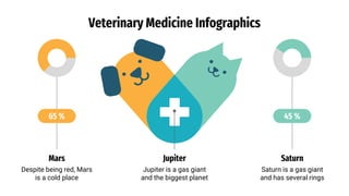 CHLAMYDIA FELIS.pptx