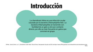 CHLAMYDIA FELIS.pptx