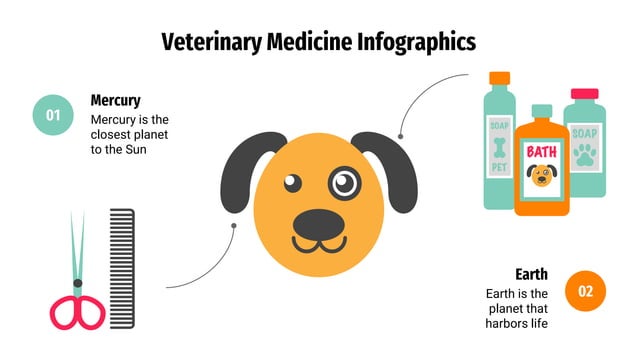 CHLAMYDIA FELIS.pptx
