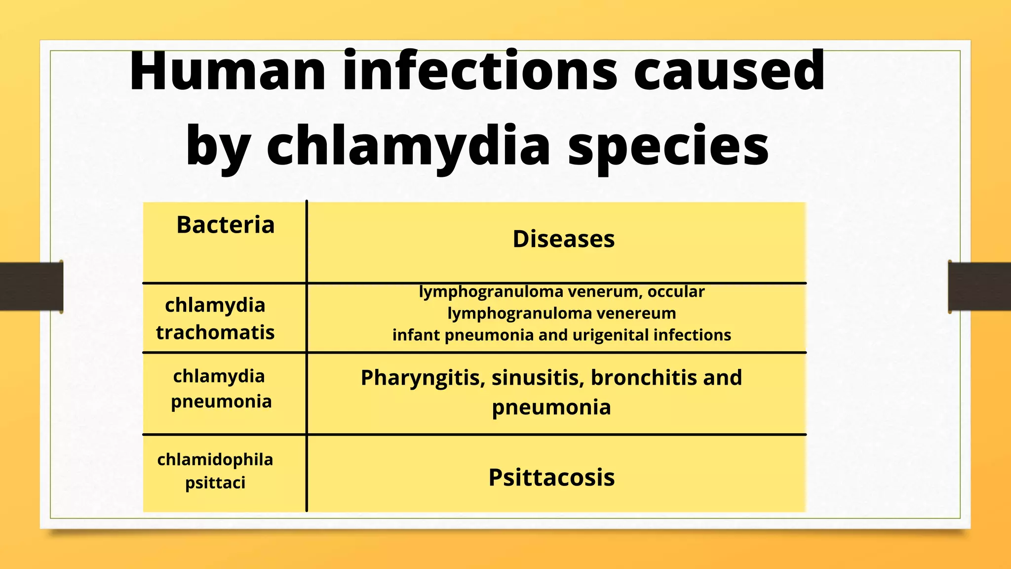 Chlamydia | PPTX