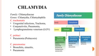 chlamydial ...........conjunctivitis.pptx
