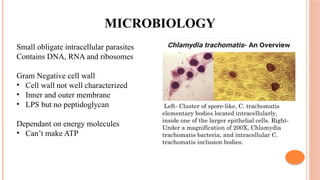 chlamydial ...........conjunctivitis.pptx
