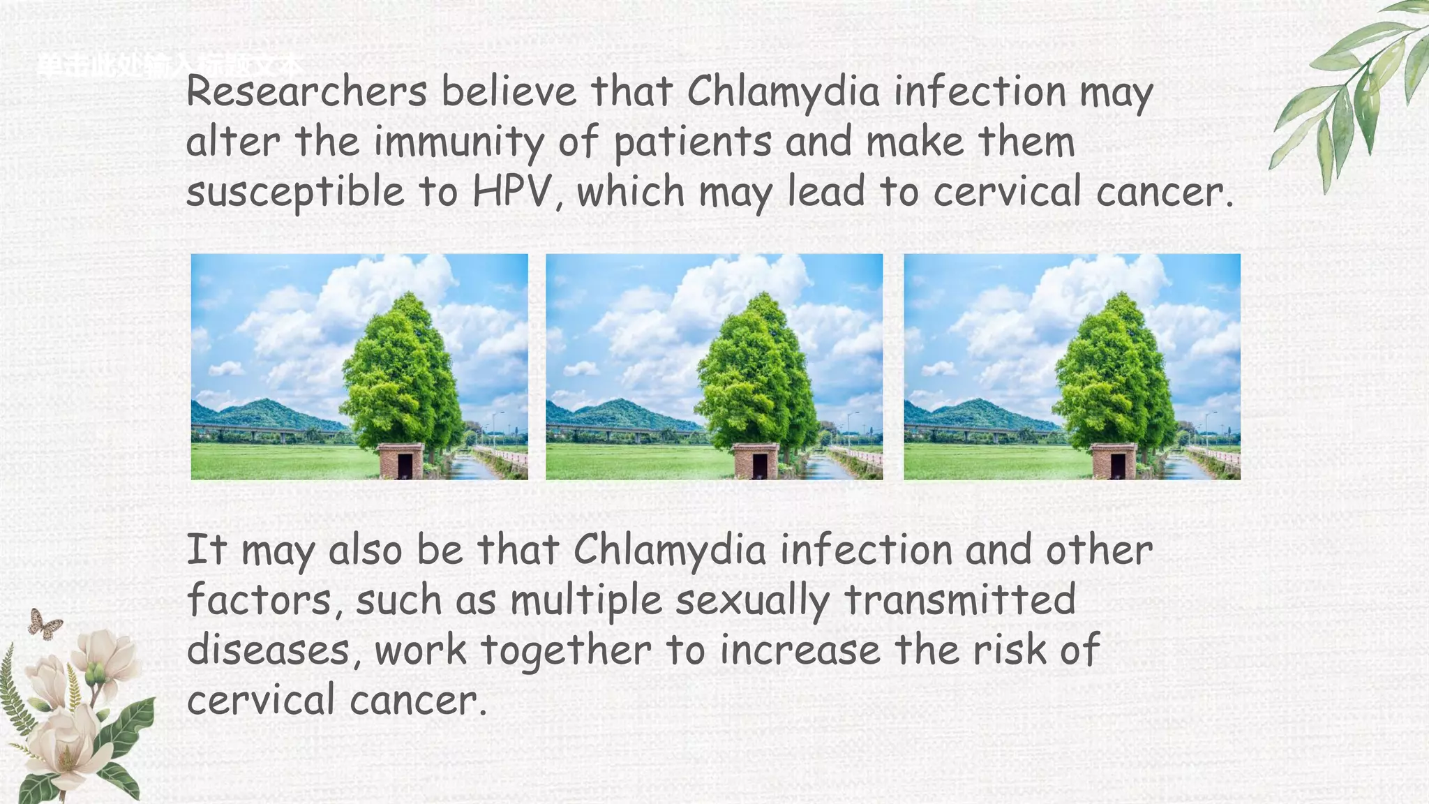 Chlamydia may increase the risk of cervical cancer | PPT