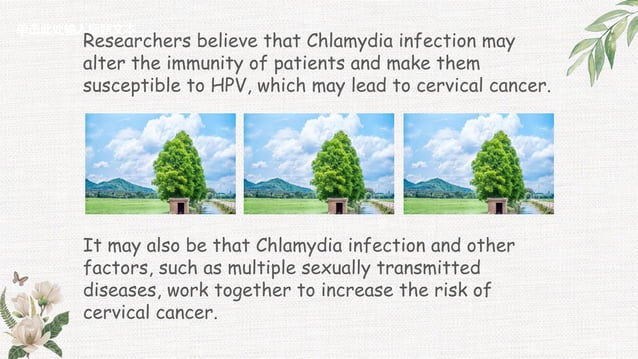 Chlamydia may increase the risk of cervical cancer | PPT