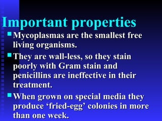 Atypical Bacteria chlamydia+ mycoplasma.ppt