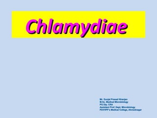 Chlamydiae and Mycoplasma | PPT