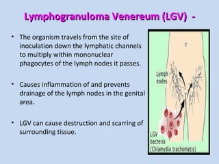 Chlamydiae and Mycoplasma | PPT