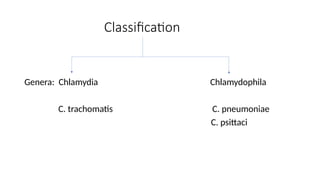 Chlamydia pneumonia- etiology, pathogenesis, clinical features, lab ...