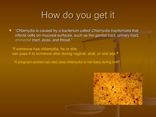 Chlamydia powerpoint | PPT