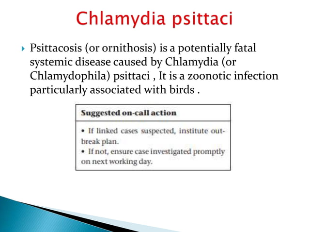 Chlamydia psittaci (group 8 ).pptx
