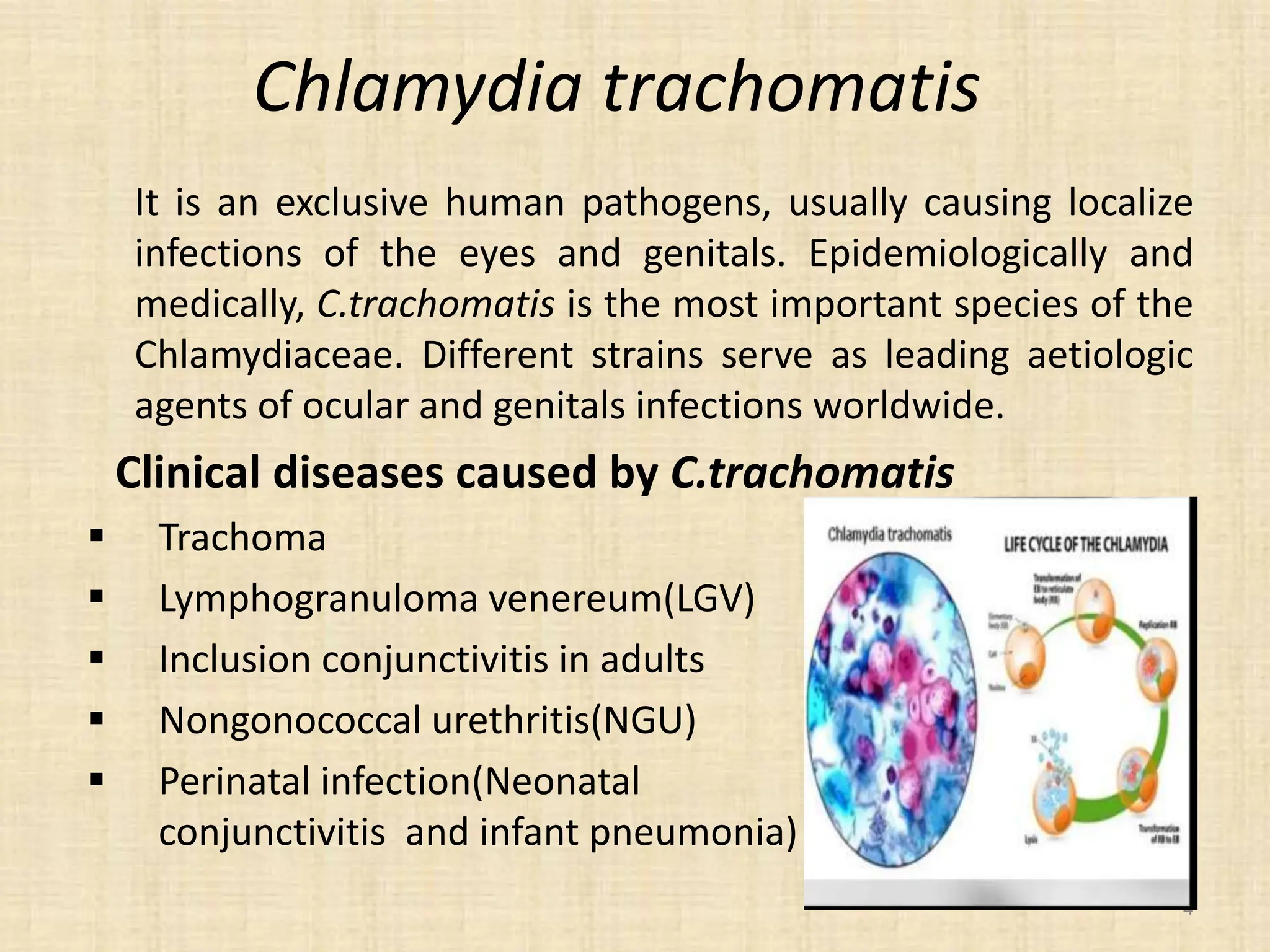 Chlamydia trachomatis.pptx microbiology | PPTX