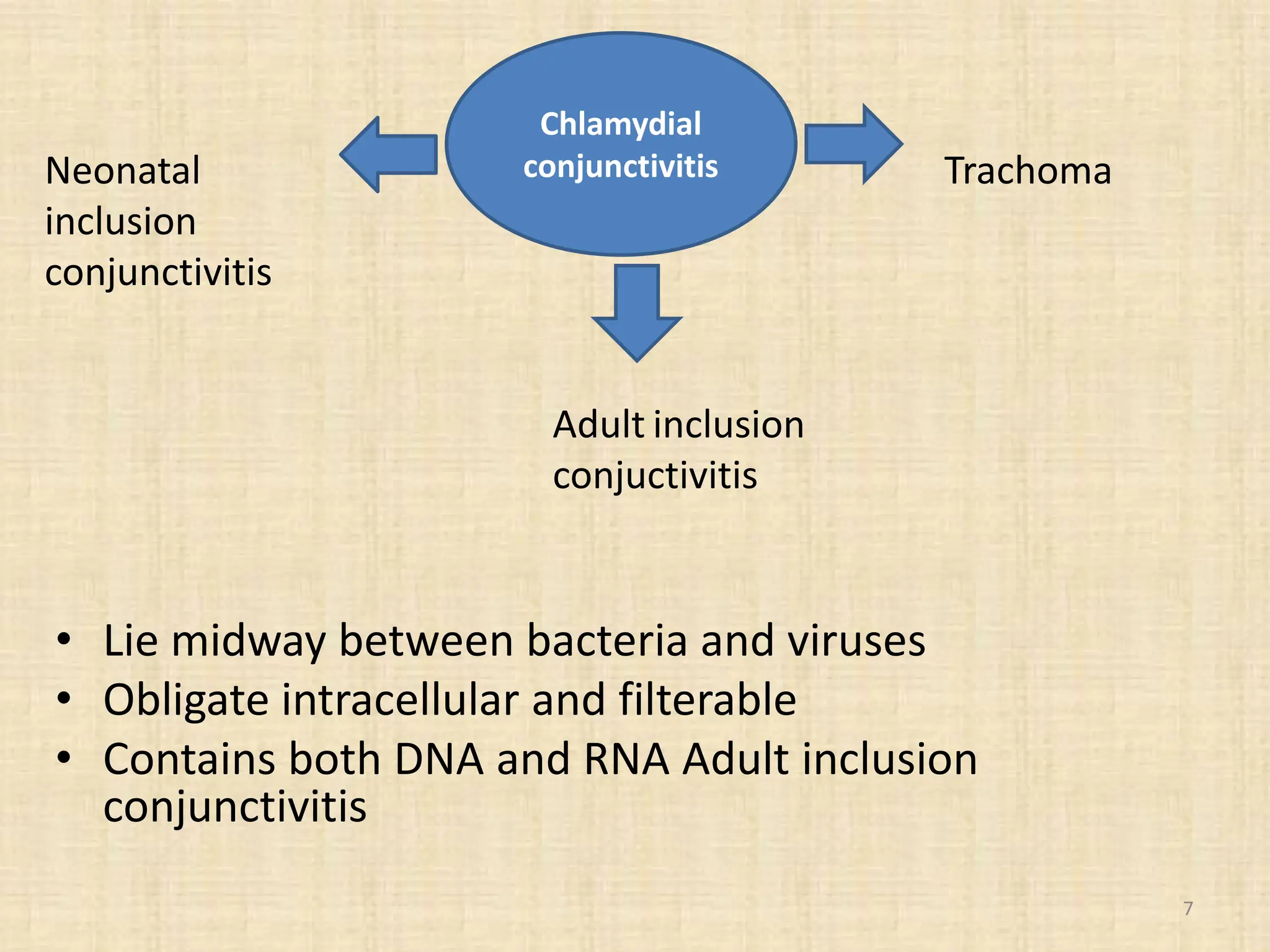 Chlamydia trachomatis.pptx microbiology | PPTX