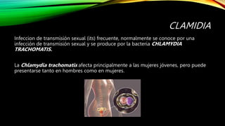 Chlamydia trachomatis presentacion de microbiologia.pptx