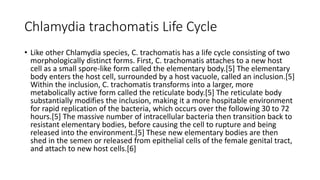 Chlamydia tracomatis dan Ricketsia.pptx
