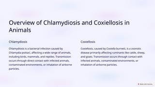 Chlamydiosis-and-Coxiellosis-A-Veterinary-Perspective (1).pptx