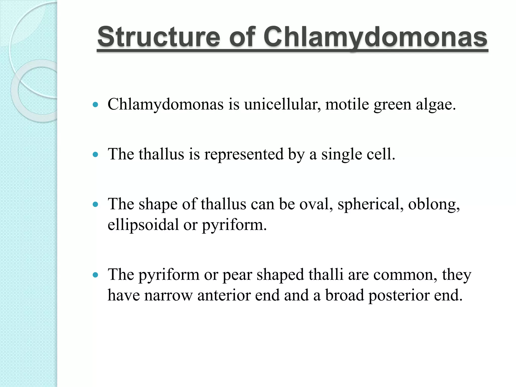 Chlamydomonas | PPTX