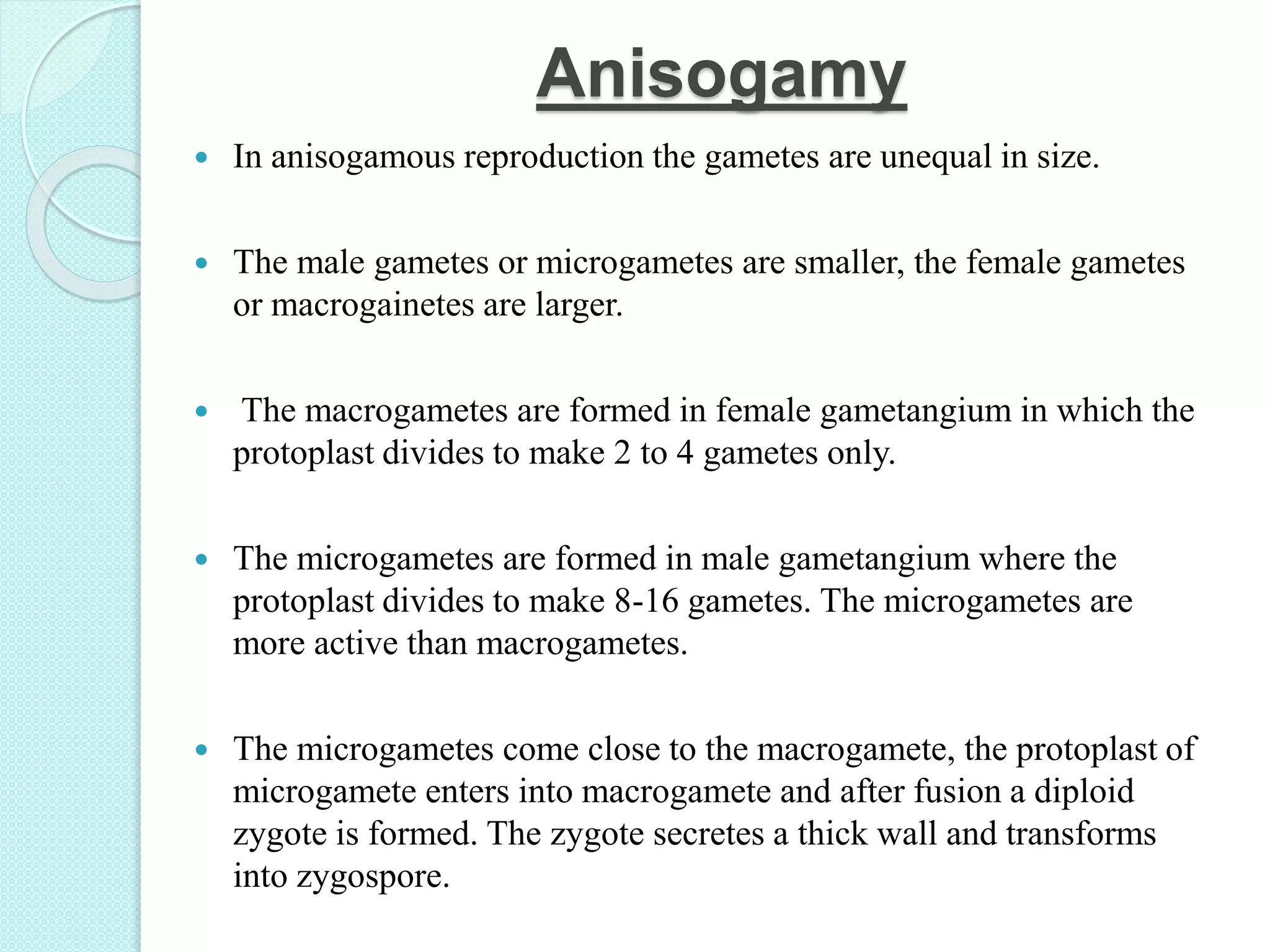 Chlamydomonas | PPTX