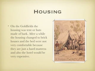Life on the Goldfields by Chloe & Jules | PPT