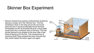 B.F. Skinner by Kimone, Chloe & Danielle | PPTX