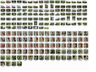 Chloe whittle | PPTX