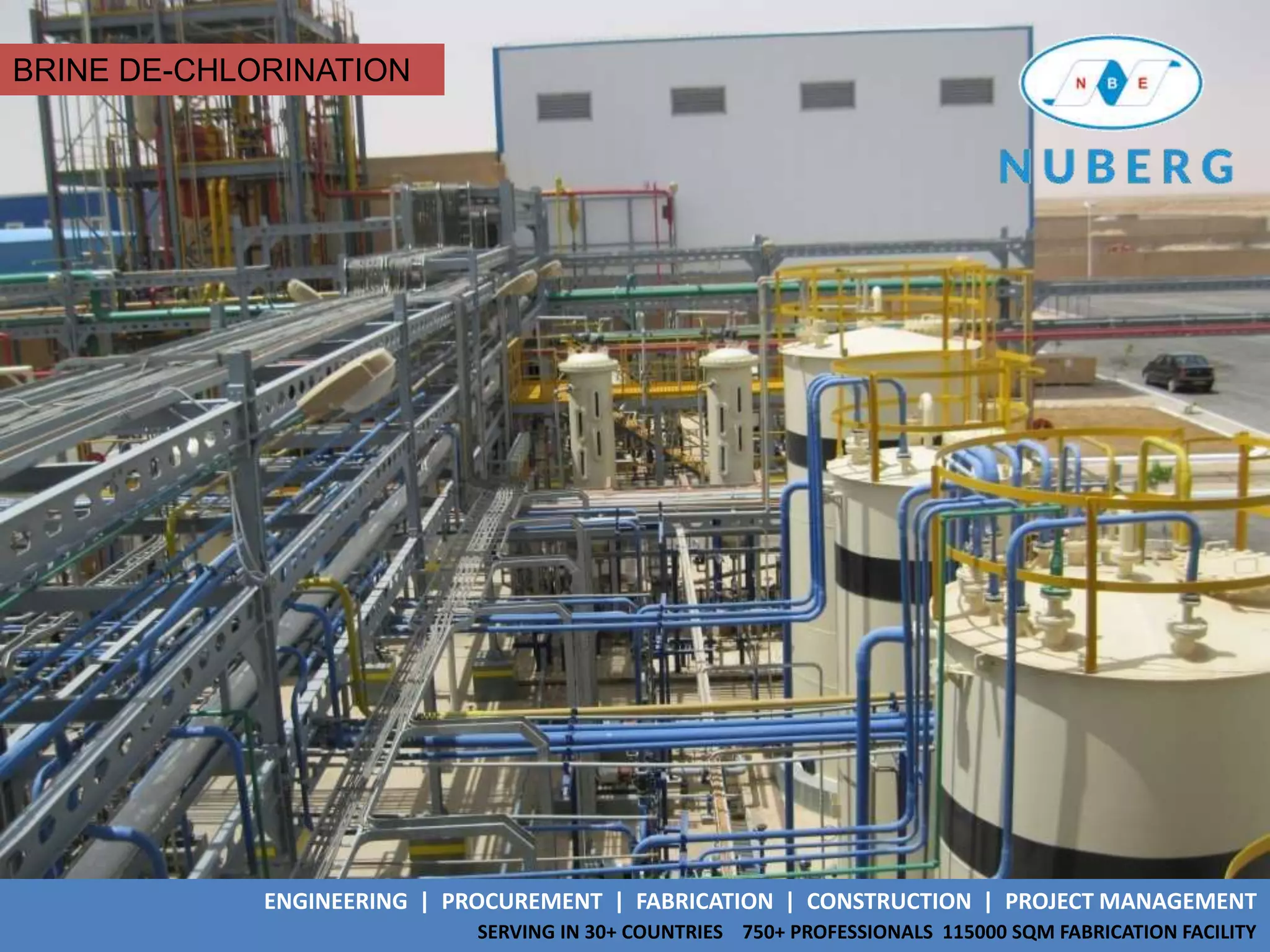Chlor Alkali Plant - SARL SASKO, Algeria | PPTX