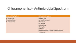 Chloramphenicol | PPTX