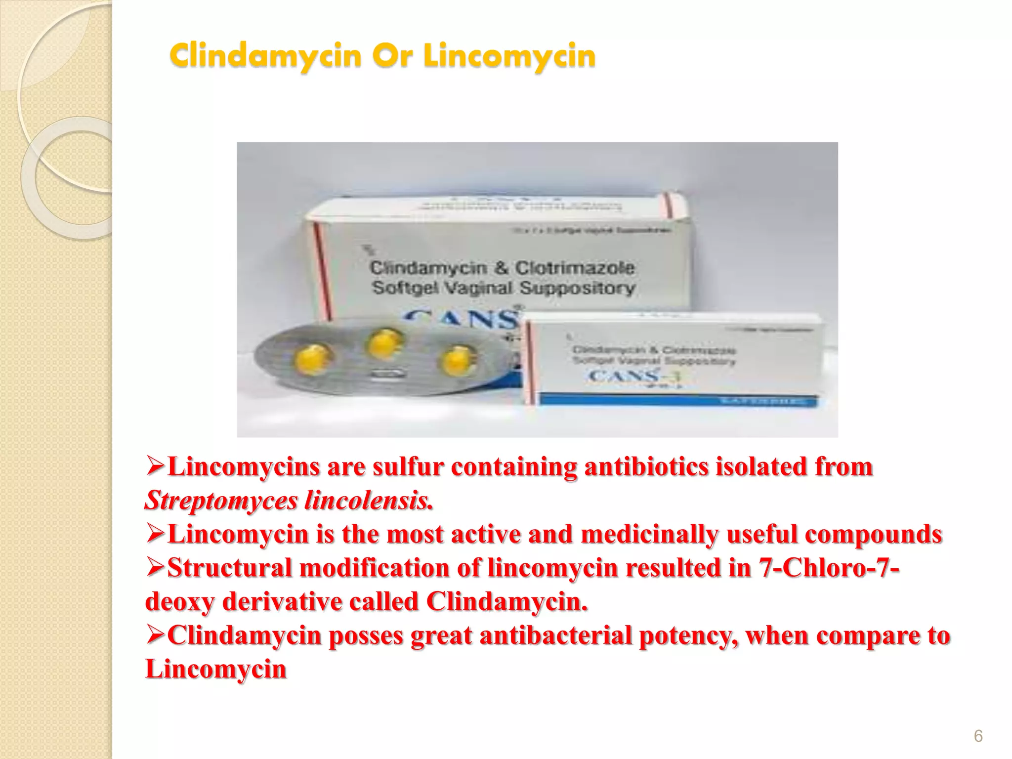 Chloramphenicol & Clindamycin | PPTX