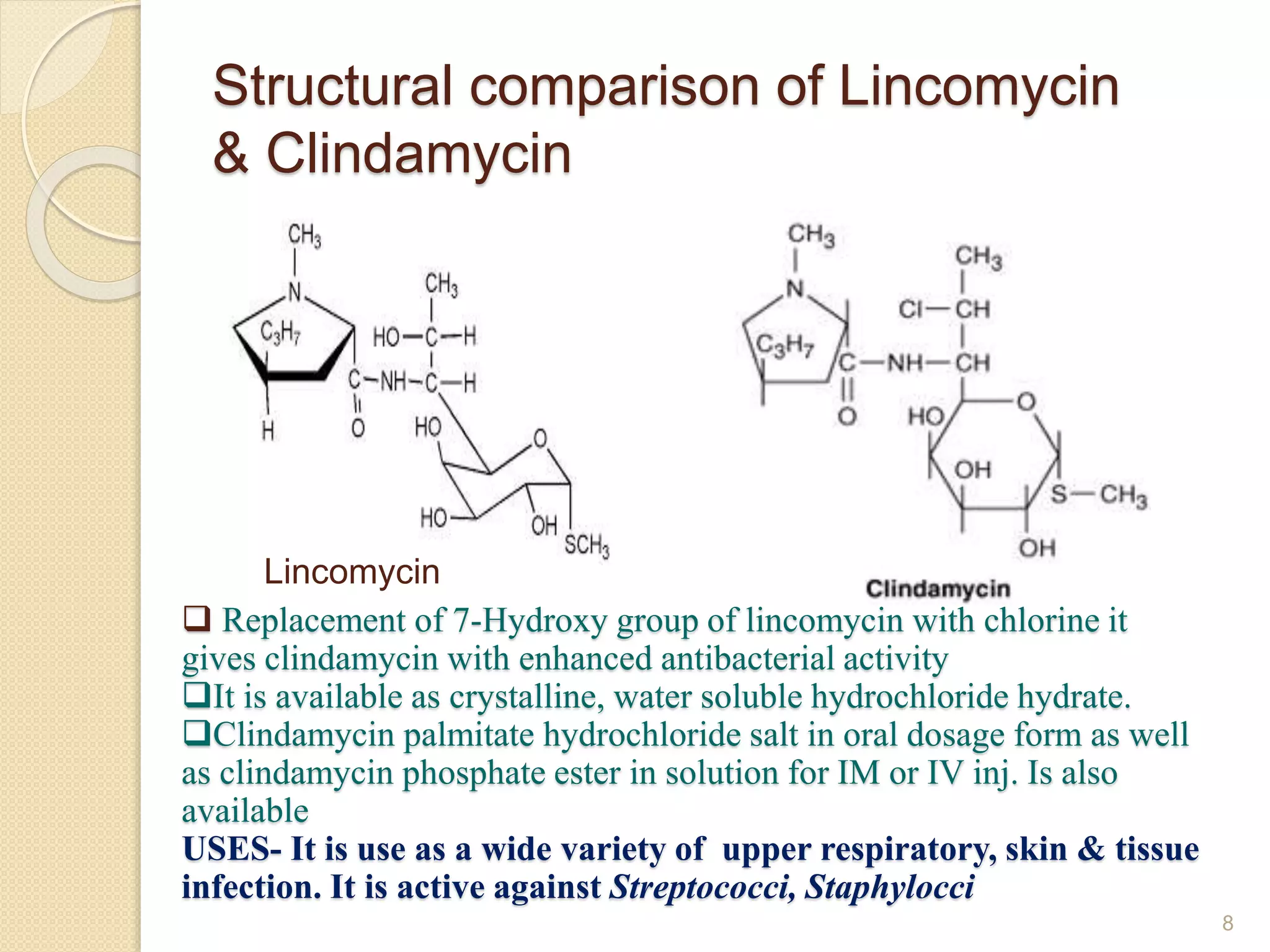 Chloramphenicol & Clindamycin | PPTX