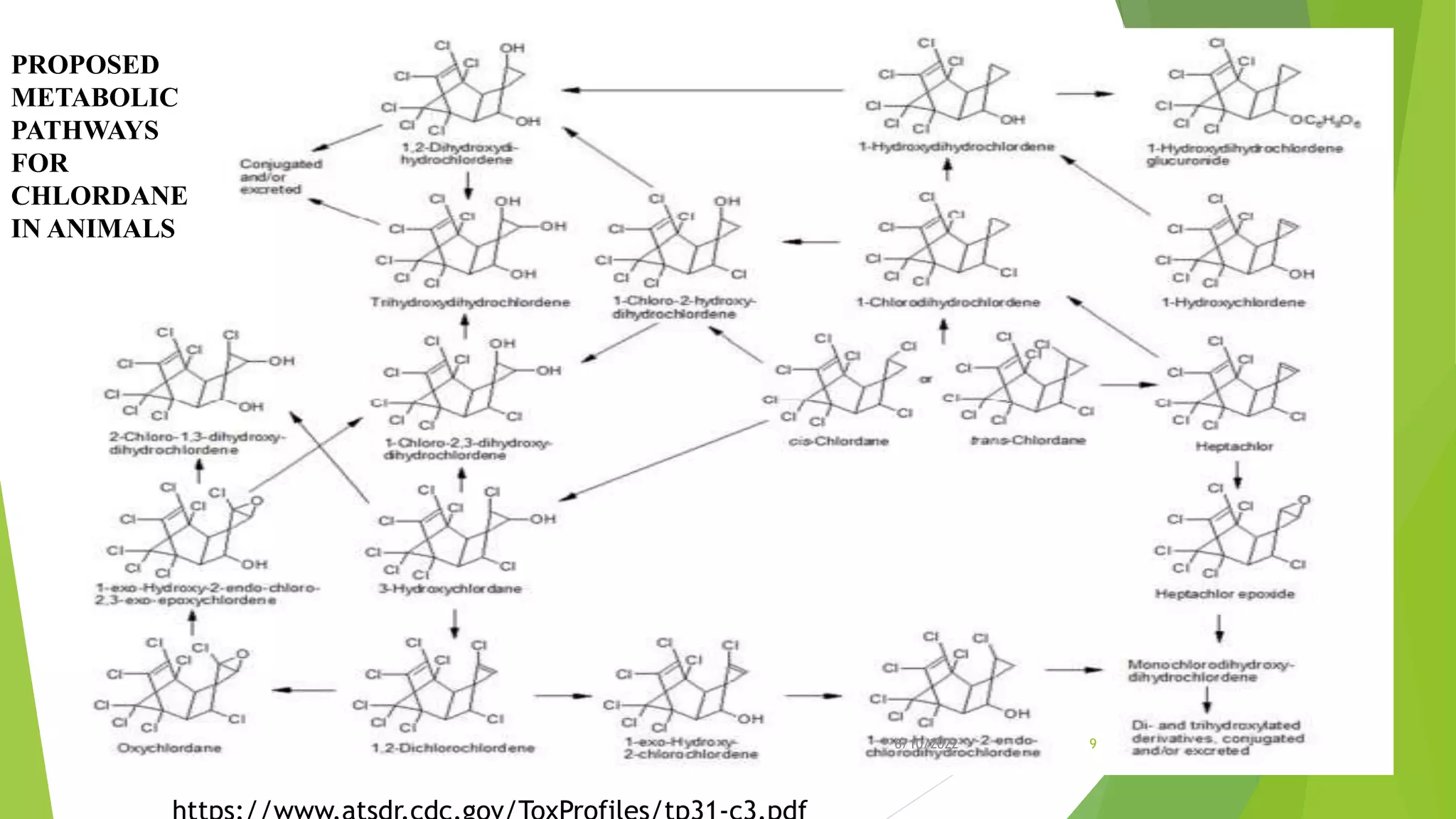 Chlordane in the Environment_VALERIEN.pptx