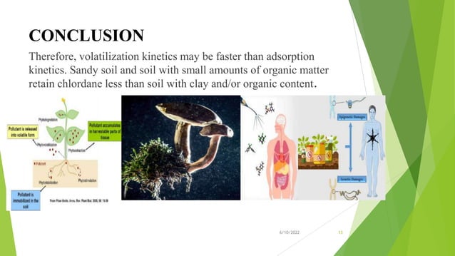 Chlordane in the Environment_VALERIEN.pptx | Indoor Environmental Quality | Home & Garden